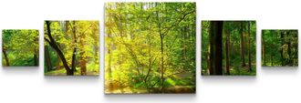 Paul Sinus Art Leinwandbilder | Bilder Leinwand 160x50cm Wald im Sonnenschein