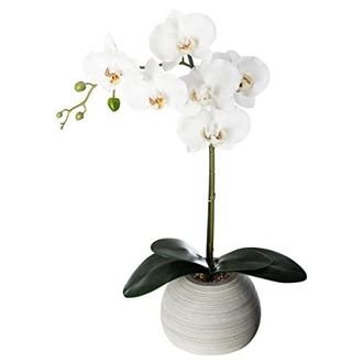 Atmosphera Atmosphera - Orchid&eacute;e Artificielle - Pot en Ciment - H53 cm
