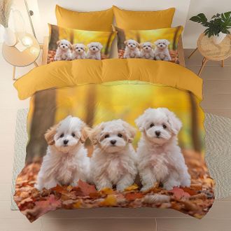 Generic Bettbezug 135 x 200 cm, Mehrfarbig Herbst Fotografie Niedlich Tiere Bichon Fris&eacute; Bettw&auml;sche, Wende Microfaser bettw&auml;sche f&uuml;r Jungen M&auml;dchen Bettbezug 