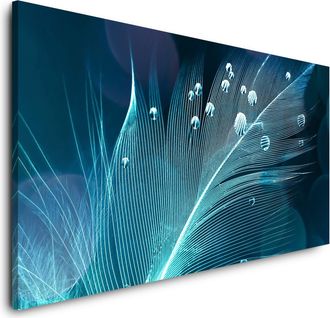Paul Sinus Art 120x60cm Feder von einem Vogel Panorama Leinwand Bild XXL Format Wohnzimmer Deko Kunstdrucke