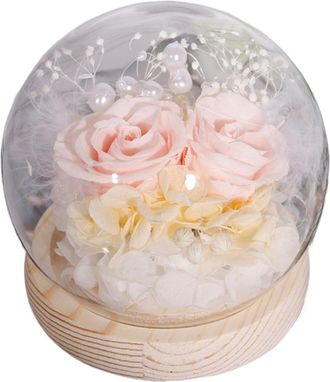 Generico in Glaskuppel: konservierte Rosen-Arrangement, transparente Displayabdeckung, Romantisches LED-Licht, handgemachte, Heimdekoration f&uuml;r den Raum
