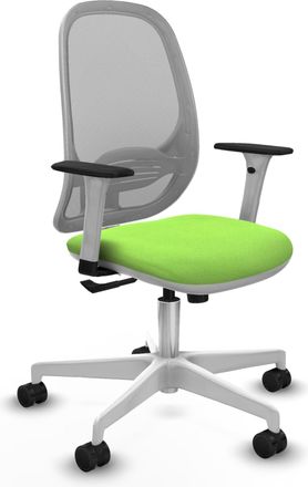 Piqueras y Crespo Hochwertiger B&uuml;rostuhl mit 1D-Armen, h&ouml;henverstellbare Lendenwirbelst&uuml;tze, mit 3 Positionen und Schneideschaum, Grau/Pistazie