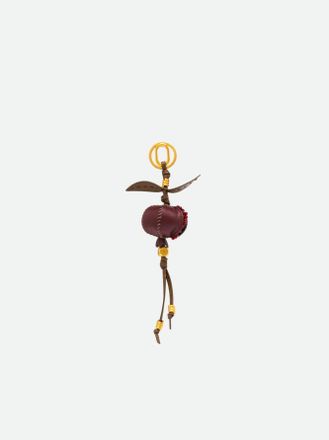 Gianni Chiarini CHARM