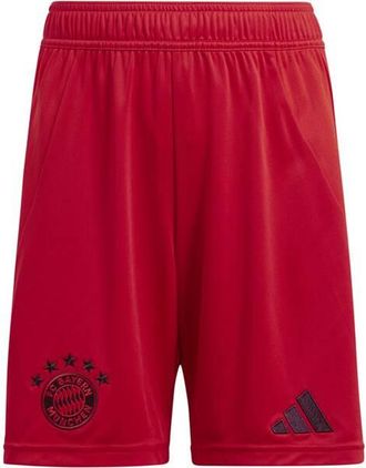adidas Kinder Teamhose FC Bayern München 24/25 Kids Heim