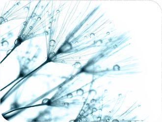 MG Design Set aus 4 Kork-Platzsets - Dandelions Blue 1 - 30 x 40 cm - hitzebest&auml;ndig & abwischbar, mit Korkr&uuml;ckseite