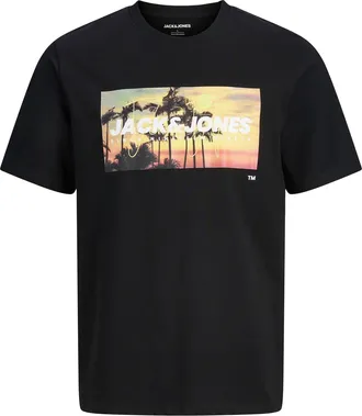 Jack & Jones T-Shirt JJIndiana