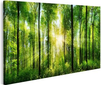 Islandburner Bild auf Leinwand Malerischer Wald Grüne Laubbäume Bilder Wandbilder Poster