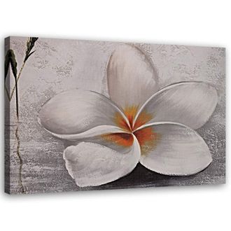Feeby Leinwandbild Blume Bild Kunstdruck abstrakt Beige 60x40 cm