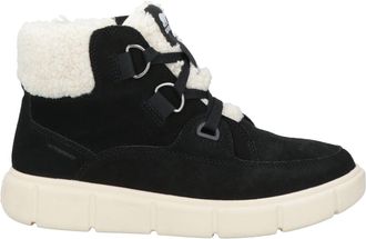 Sorel EXPLORER