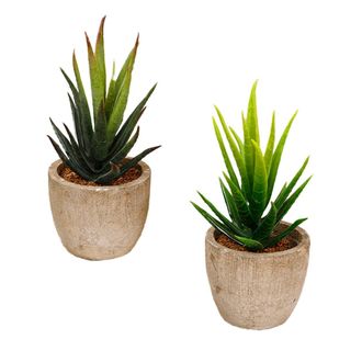 Cabilock 2st&uuml;cke K&uuml;nstliche Kunststoffpflanzen-Ornament in Gr&uuml;n Und Hellgr&uuml;n Sukkulenten-Dekoration F&uuml;r Zuhause B&uuml;ro Und Balkon Langlebig Und Geruchlos