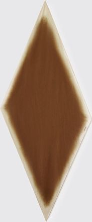 Lardini Foulard Homme couleur Marron