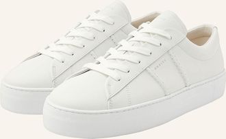 Nubikk Nubikk Sneaker Jagger Morris weiss