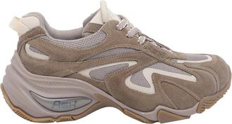 Ash Sneaker - Beige