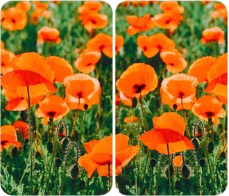 WENKO Herdabdeckplatte Universal Mod. Mohnfeld, höhenverstellbar für alle Herdarten, Schneidebrett und Spritzschutz, Glas, 30 x 52 cm, 2-teilig