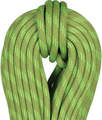 Beal Wall Cruiser Unicore 9.6 Mm 40 M Gr&uuml;n - Leistungsstarkes Kletterseil, 40 m, Gr&ouml;&szlig;e 40 m - Farbe Green