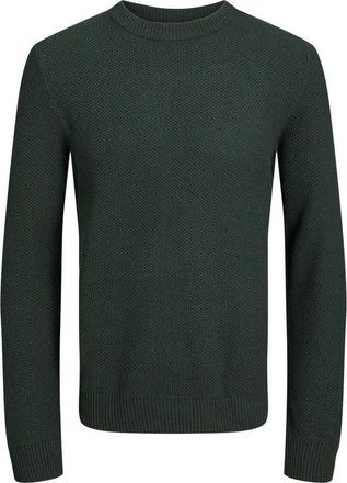Jack & Jones Plus Size Rundhalspullover JORBRODY KNIT CREW NECK BF PLS