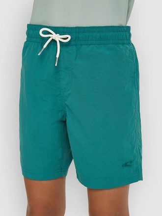 O'Neill Vert Kids Boardshort vert