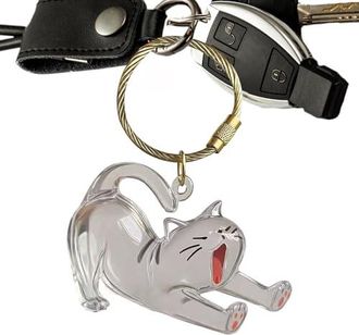 Generic Bo&icirc;te &agrave; souvenirs et porte-cl&eacute;s pour cheveux de chien - Porte-cl&eacute;s comm&eacute;moratif en acrylique transparent pour chiens, support portable pour poils dani