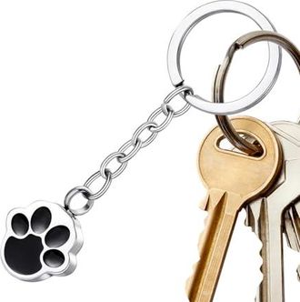 Generic Porte-cl&eacute;s souvenir en acier inoxydable pour cendres de chien - D&eacute;coration dint&eacute;rieur - Porte-cl&eacute;s souvenir pour chien | Pour le travail, le bureau, l