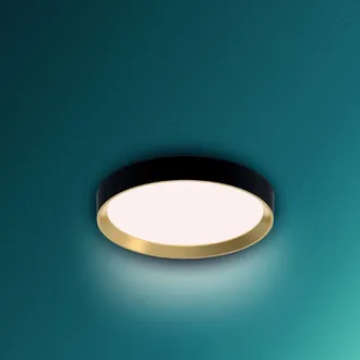 Philips 8720169301337 Hanno LED-Deckenleuchte LED 24 W Schwarz, Gold