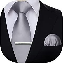 Hisdern Cravate Gris Homme Formelle Élégante Classique Ensemble de Cravates et Mouchoir et Pince pour Mariage Affaires Fête