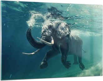 Arttor Wandbilder Dekoration Wohnzimmer Elefant Tier Wasser Bilder auf Glas 120x80cm Glasbild Schlafzimmer Küche Deko Wand Kunstdruck Art Groß XXL Wanddeko B