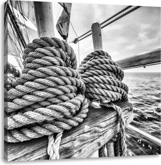 Pixxprint Tau auf einem Schiff 70x70cm Wandbild Kunstdruck, Leinwandbild Quadratisch, Wandbild, Kunstdruck, fertig bespannt