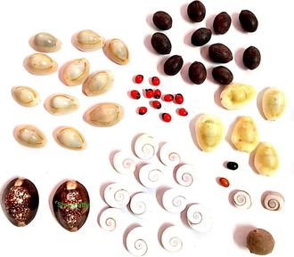 Generic Aashita Creations Gomti Chakra Vishnu & Saraswati, Weiß-Schwarz-Gelb Kori & Rot Gunja, Kamal Gatta, Laxmi Gutika Geldkassette Vastu Heilmittel für Hom