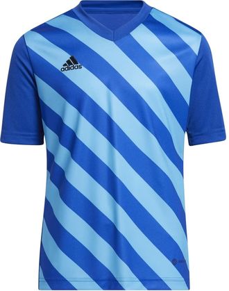 adidas Unisex Kinder Entrada 22 Graphic Jersey, Royal Blue / App Sky Rush, 13-14 Years