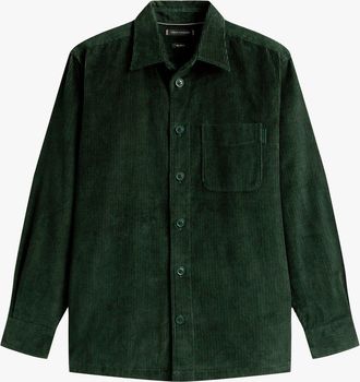 Tommy Hilfiger Chemise col classique en coton