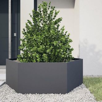 vidaXL Vidaxl - Jardini&egrave;re anthracite hexagone 138x120x45 cm acier