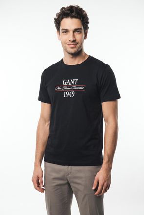 GANT T-Shirt GANT GRAPHIC, Herren, Gr. 4XL, schwarz, Jersey, Obermaterial: 100% Baumwolle, normal normal, Rundhals, Shirts T-Shirt