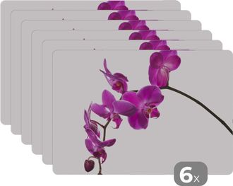 MuchoWow Placemats Platzdeckchen Platzset Tischset 6-teilig Tischdeko Untersetzer 45x30 cm Orchidee vor weißem Hintergrund