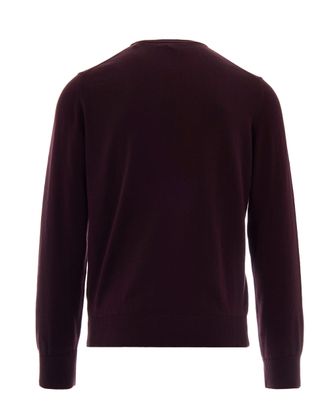 Lacoste Mens Crewneck Jumper Oxalis Cotton Jumpers Sweater