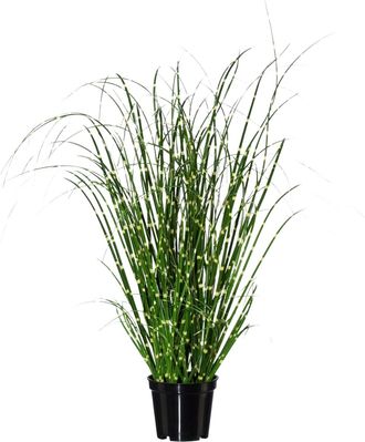 Creativ Green künstliches Zebragras 42cm im Topf I naturgetreues Wildgras im Topf I Deko Gräser für Innen I hochwertige & dekorative Dekopflanze I Grasbusch für Ind