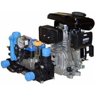 Bertolini 2-Membran-Motorpumpe mit AXO 4 f&uuml;r Bew&auml;sserung 91561