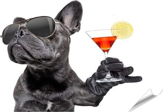 Islandburner XXL Bild Poster Hund Trinkt Cocktail Coole Franz&ouml;sische Bulldogge Premium Bilder Fotodruck