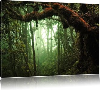 Pixxprint Regenwald Moos Bäume Lianen See Tümpel, Größe: 80x60cm, Leinwandbild, fertig gespannt, Wandbild, Dekoration, Kunstdruck, kein Poster