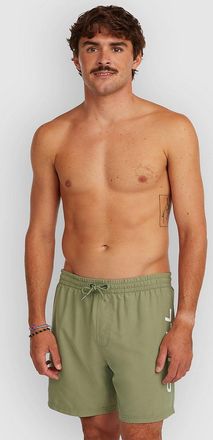 O'Neill Logo 16 Boardshorts avery fern