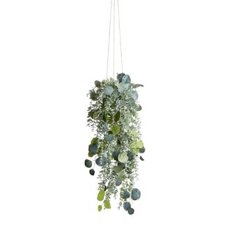 Butlers FLORISTA H&auml;ngepflanze Eukalyptus Mix L&auml;nge 65cm