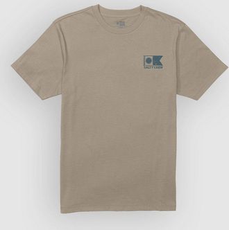 Salty Crew Stitched T-Shirt twig