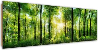 Feeby Frames Feeby, Wandbild, Deco Bild, gedrucktes Bild, Deco Panel, Bild, Panoramabild 53x158 cm, Wald, BÄUME, Sonne, Natur, GRÜN