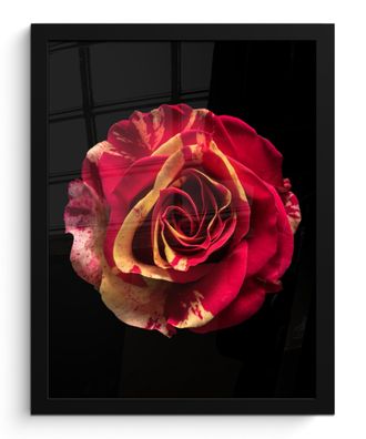 MuchoWow © Bilder mit Rahmen 30x40 cm Poster Wanddekoration Wohnzimmer Deko Modern Geschenke Bilderrahmen Blume - Rose - Rot - Schwarz