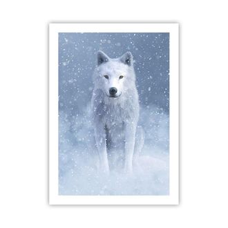 Arttor Wandposter Art Prints 50x70cm Poster ohne Rahmen Wei&szlig; Wolf Schnee K&uuml;che Wanddeko Bild Wand Kunstdruck Deko Wandbilder Dekoration Wohnzimmer Schlafzimm