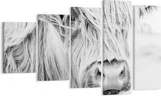 Arttor Mehrteilige Bilder auf Leinwand Kuh Scotch Tier Leinwandbild 100x60cm Wandbilder Dekoration Wohnzimmer Schlafzimmer Set 5 teilige Groß Wanddeko Bild W