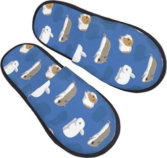 Generic Pantoufles en Feutre Motif mignon de cochon dInde de dessin anim&eacute; Antid&eacute;rapant Chaussons Homme Classiques Confortable Chaussures de Maison Maison Hive