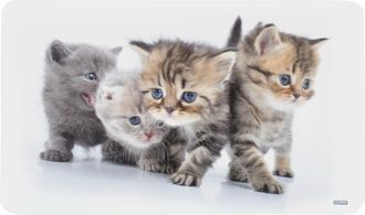 KESPER 31220 Frühstücksbrettchen KATZE aus Melamin/Stullenbrett/Brotbrett