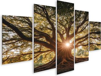 Islandburner Bild auf Leinwand M&auml;chtiger Baum mit Sonnenstrahlen f&uuml;r Wohnzimmer Naturliebhaber Boutique Bilder Wandbilder Poster