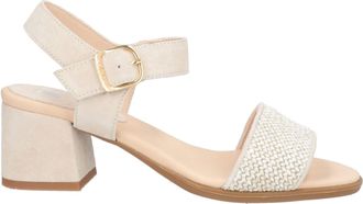 Callaghan ADAPTACTION