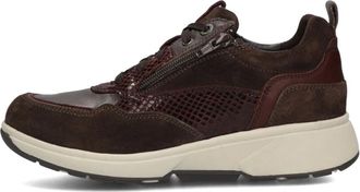 Xsensible Femme, Chaussures, Brun, Taille: 41 EU Baskets Lage Grenoble